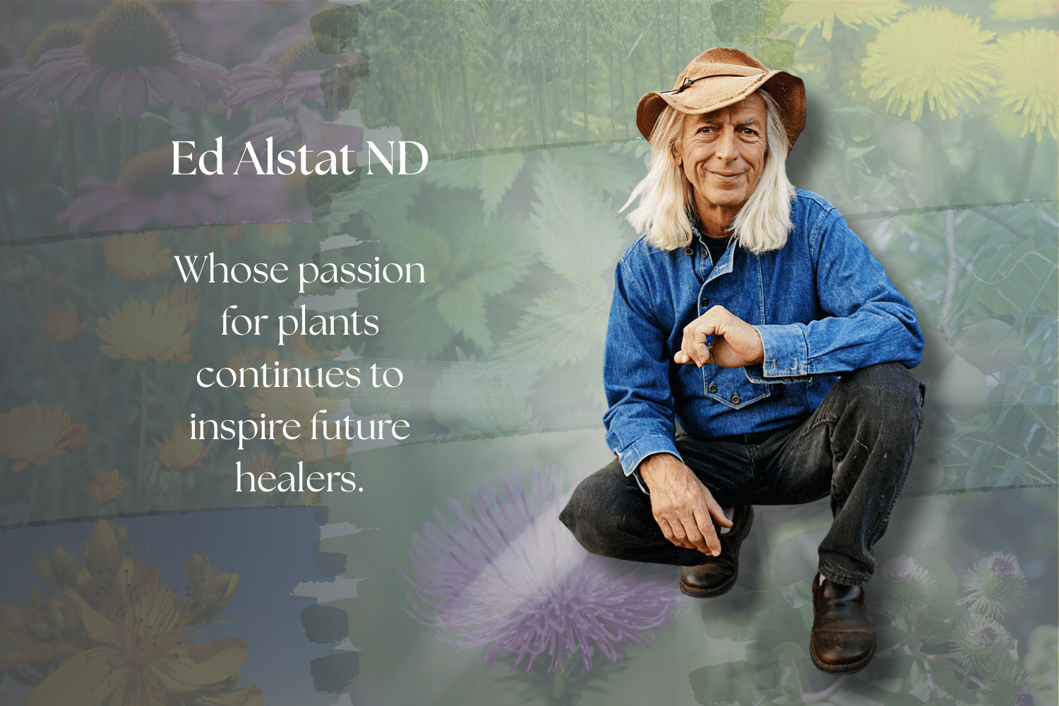 2025 Ed Alstat Scholarship Winner: Maggie Davison – Eclectic Herb