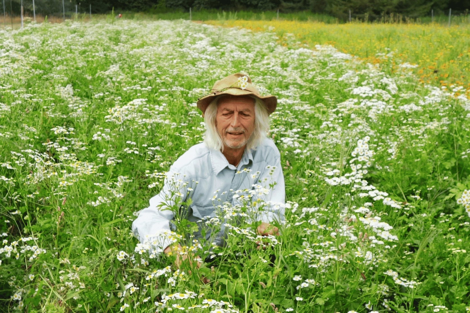 Honoring Ed Alstat: A Legacy of Herbal Wisdom – Eclectic Herb