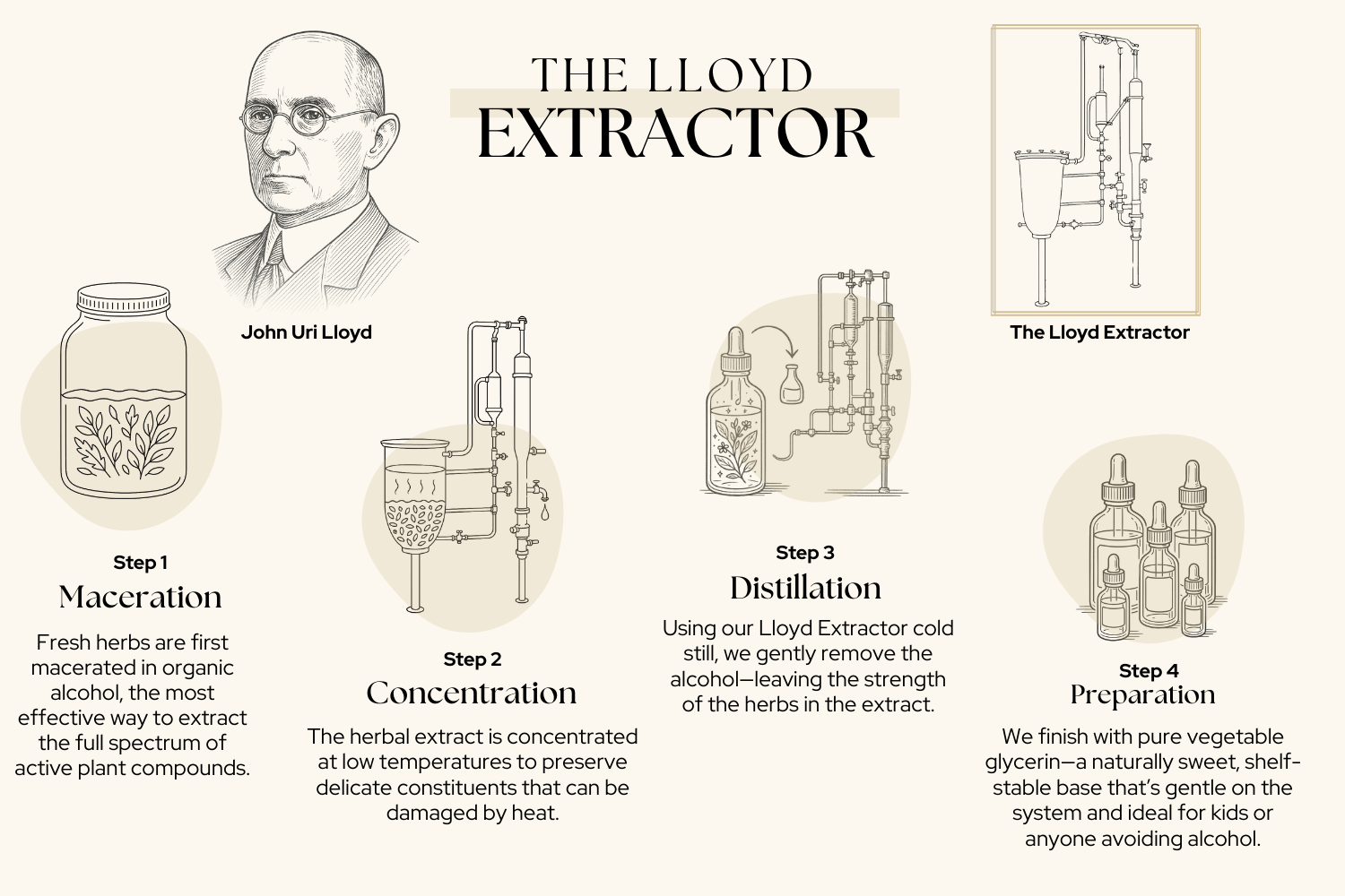 Plant Alchemy: Our Lloyd Extractor at Work – Eclectic Herb
