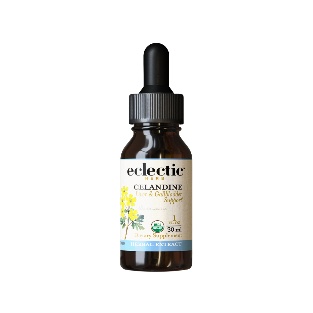 Celandine Extract | Liquid for Natural Liver & GallBladder Support ...